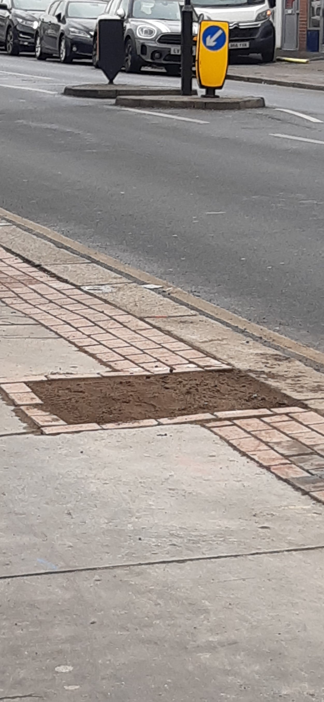 Greening Portland Road – People for Portland Road